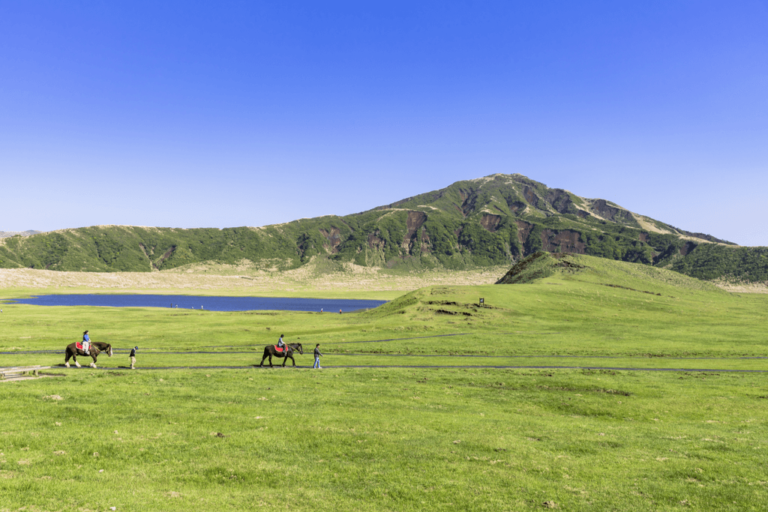 Kyushu Japan’s Seven Stars Train: History & Costs - Sakuraco