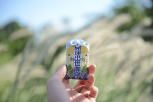 Omamori: The Powerful Japanese Amulets for Good Luck! - Sakuraco