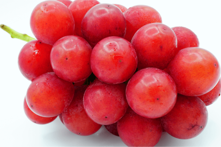 Japan Ruby Roman Grapes: Features & Prices - Sakuraco