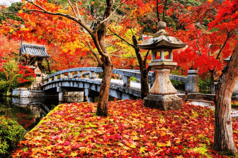 Autumn in Japan: Everything You Need to Know! - Sakuraco