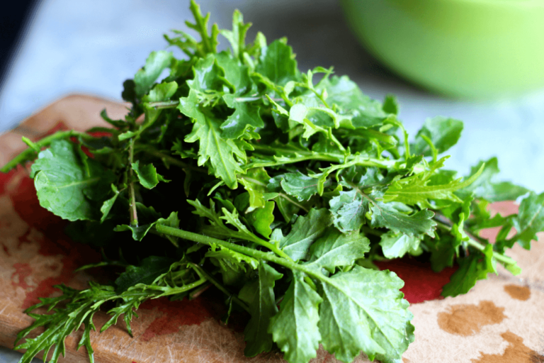 Winter Vegetables in Japan: Everything You Need to Know! - Sakuraco