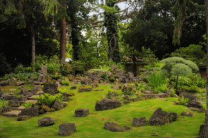 Japanese Colors: Five Amazing Hues You Should Know! - Sakuraco