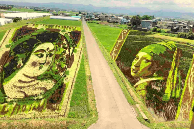 Rice Paddy Art: What Makes it So Special? - Sakuraco